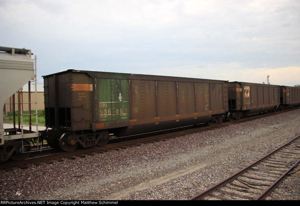 Burlington Northern Coal Gon